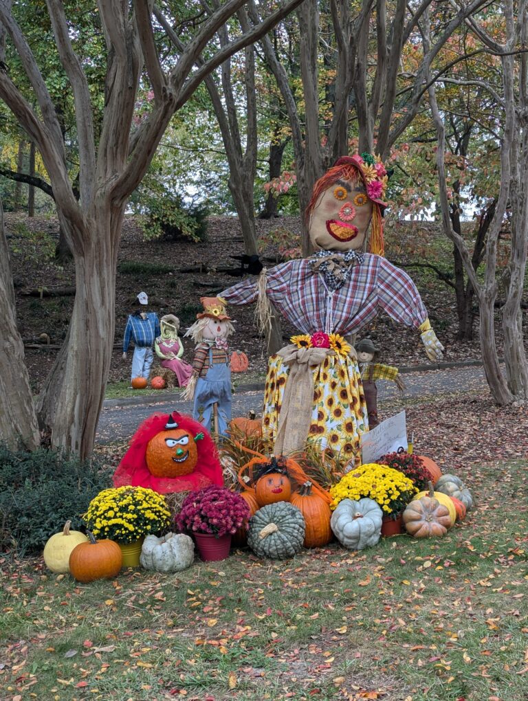 October 26-November 15 Not-So-Scary Scarecrows and fall decorations on ...